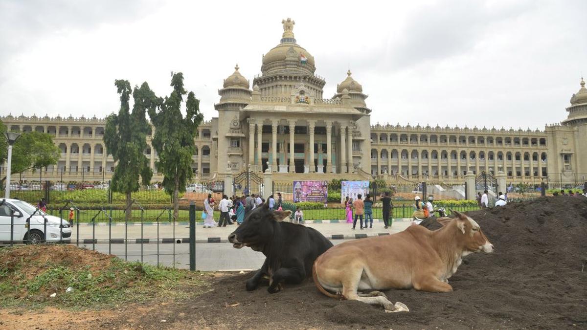 Banning Cow Slaughter by Stealth - The Hindu Centre