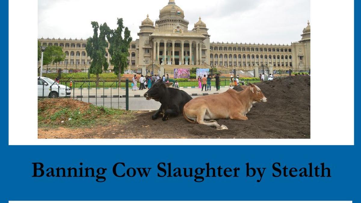 Banning Cow Slaughter by Stealth - The Hindu Centre