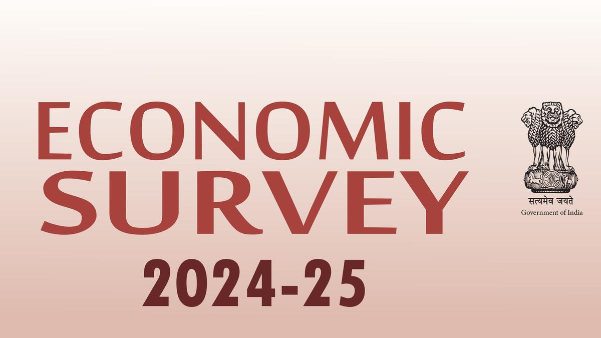 Economic Survey 2024-25 [PDF 16.6 MB] with Statistical Appendix [PDF 12 ...