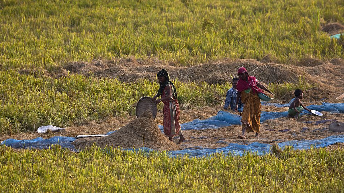 The Distress in Rural India - The Hindu Centre